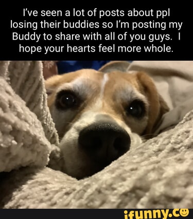 I've seen a lot of posts about ppl losing their buddies so I'm posting ...