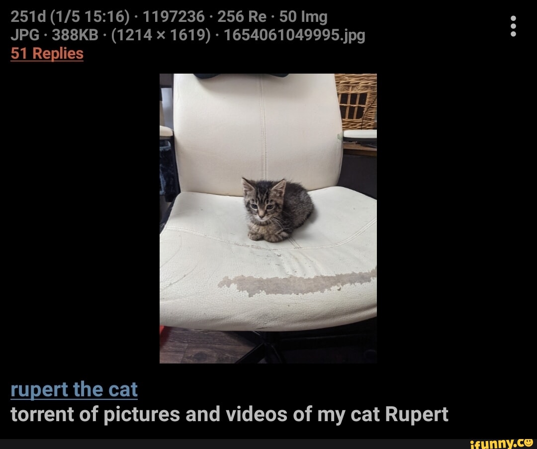 Torrent memes. Best Collection of funny Torrent pictures on iFunny