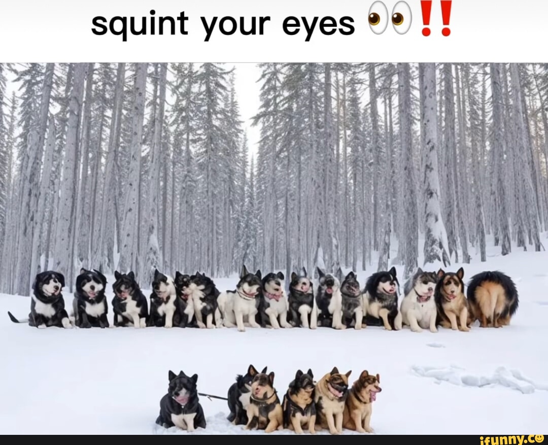 Squint memes. Best Collection of funny Squint pictures on iFunny