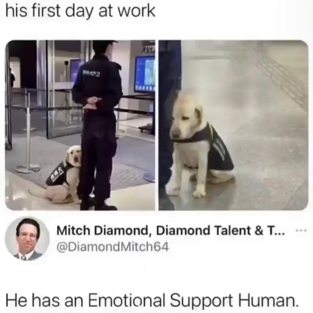 His first day at work Mitch Diamond, Diamond Talent & T... Hea hac an ...