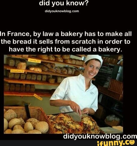 Bakery memes. Best Collection of funny Bakery pictures on iFunny