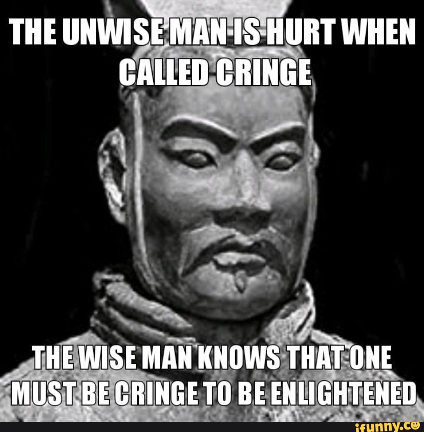 THE UNWISE MAN IS HURT WHEN CALLED CRINGE THE WISE MAN KNOWS THAT ONE ...