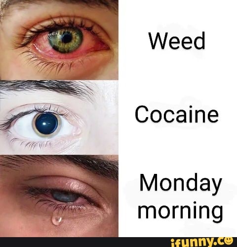 Weed Cocaine Monday morning - iFunny
