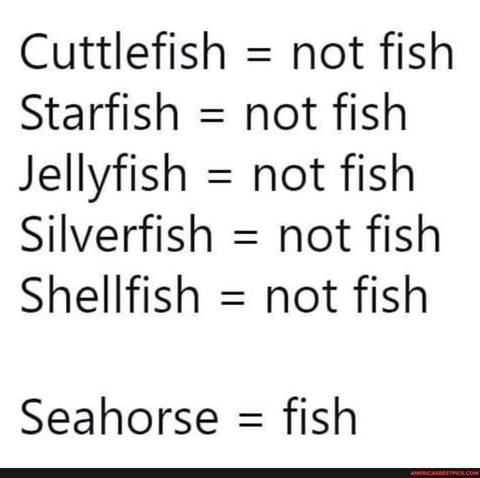 Cuttlefish = not fish Starfish = not fish Jellyfish = not fish ...