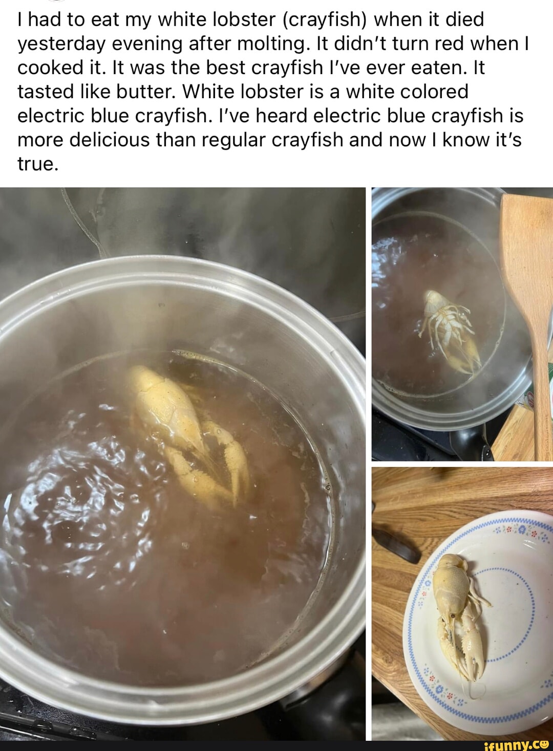 Crayfish memes. Best Collection of funny Crayfish pictures on iFunny