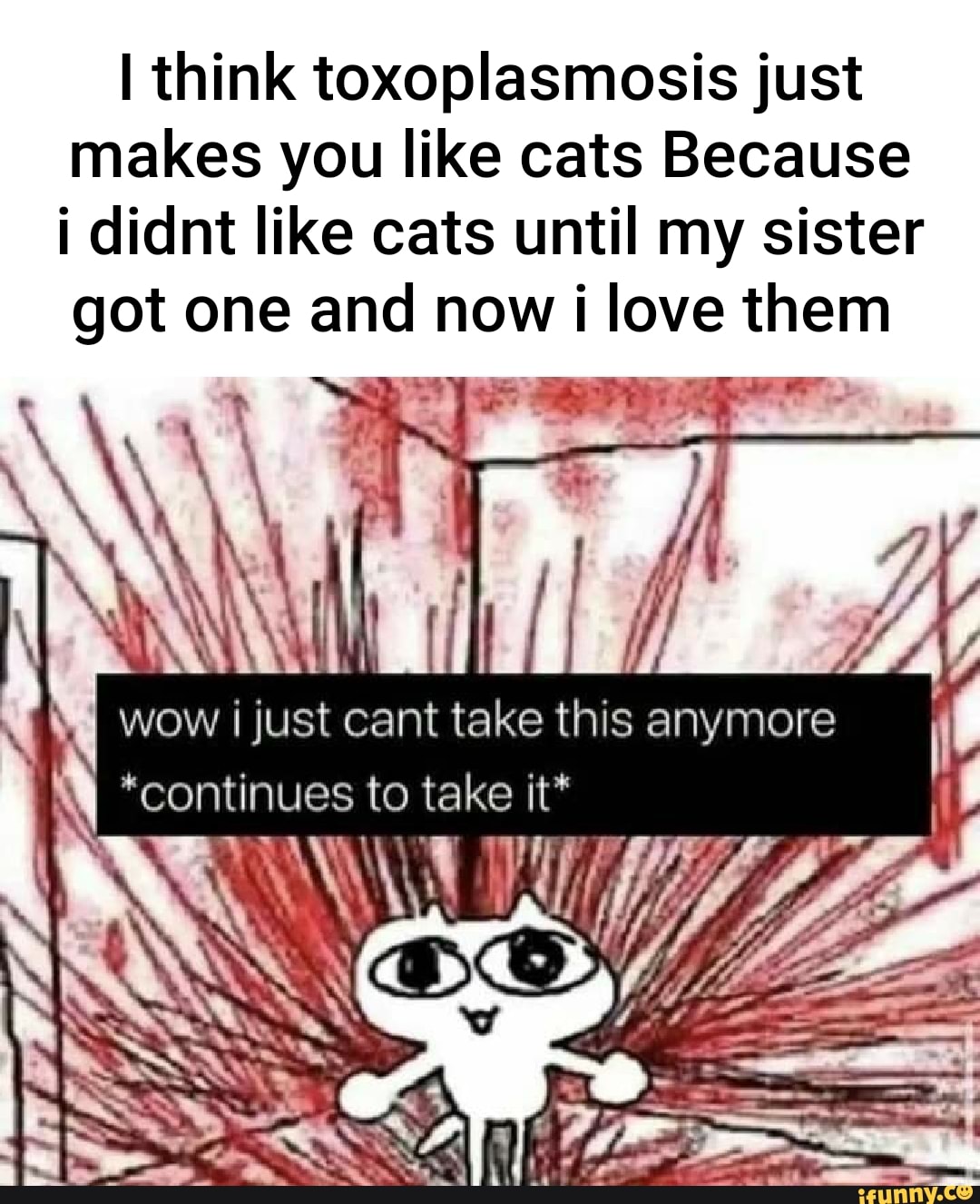 I think toxoplasmosis just makes you like cats Because i didnt like ...