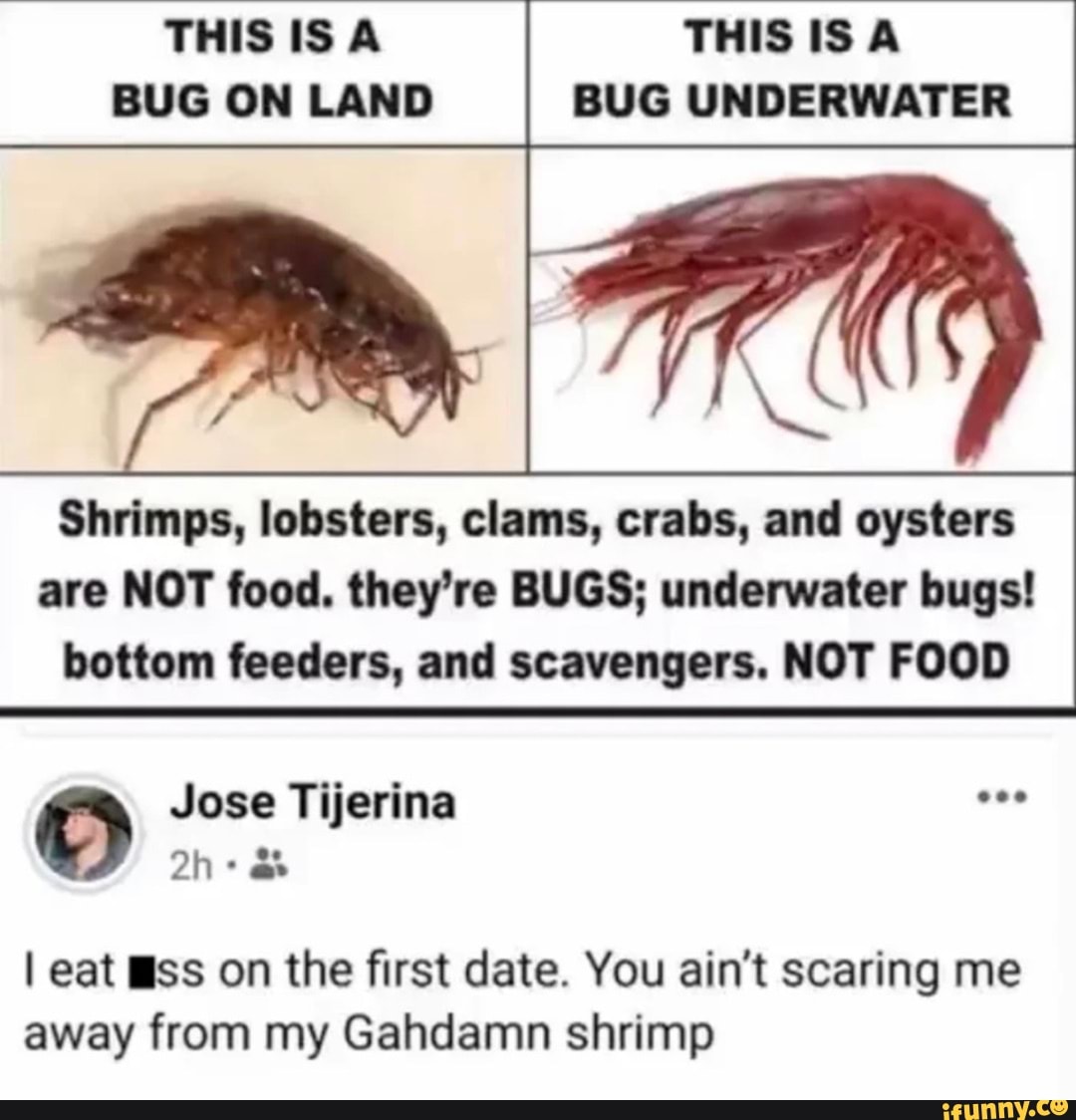 THIS ISA THIS IS A BUG ON LAND BUG UNDERWATER Shrimps, lobsters, clams ...