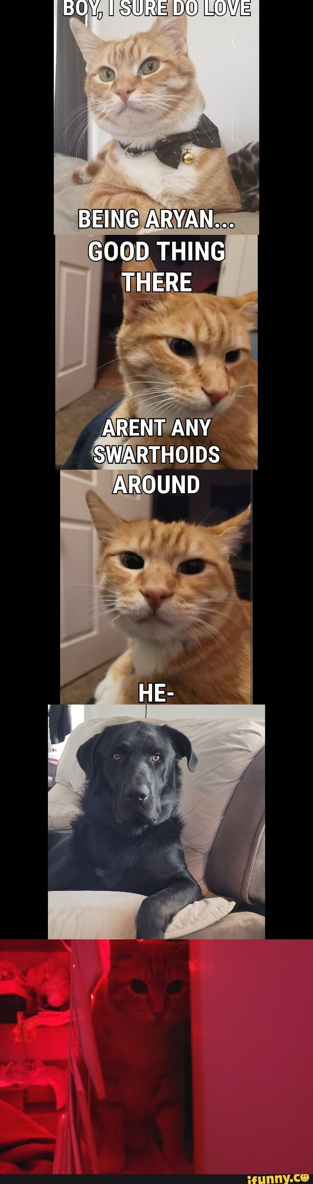 Swarthoids memes. Best Collection of funny Swarthoids pictures on iFunny