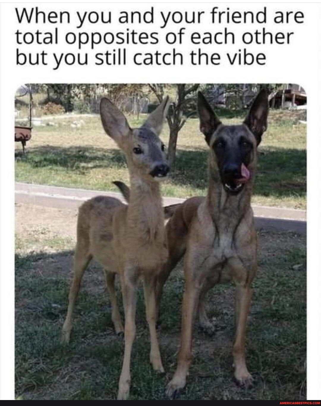 N/A - When you and your friend are total opposites of each other but ...