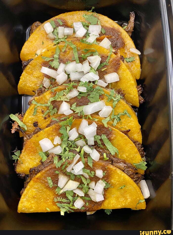 Birria memes. Best Collection of funny Birria pictures on iFunny Brazil