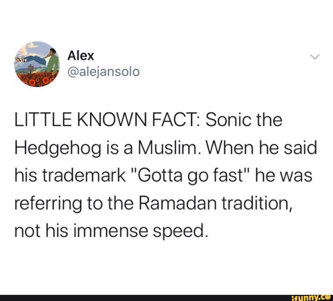 LITTLE KNOWN FACT: Sonic the Hedgehog is a Muslim. When he said his ...