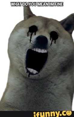 Parado memes. Best Collection of funny Parado pictures on iFunny