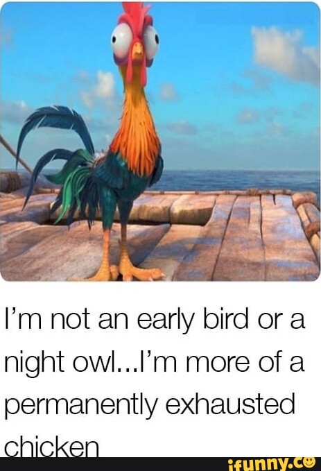 I'm not an early bird or a night owl...l'm more of a permanently ...