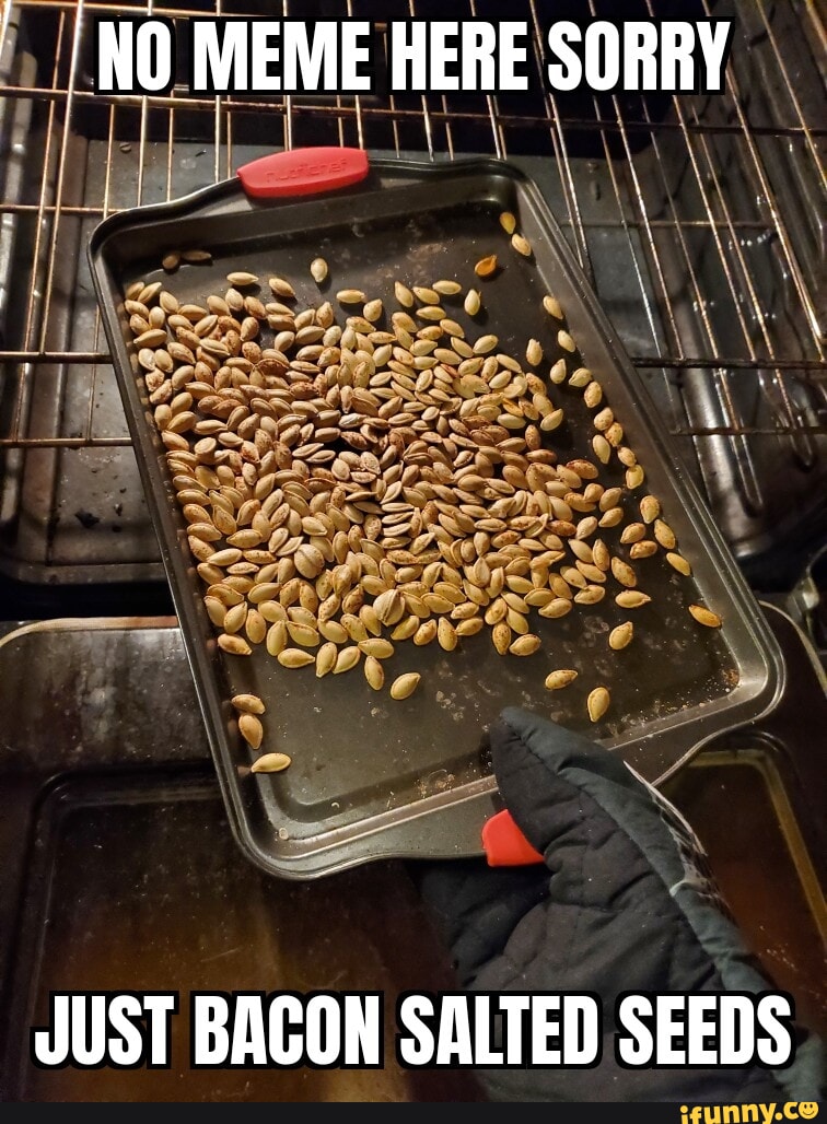 Daniel LaRusso giving Miyagi Do philosophy - iFunny