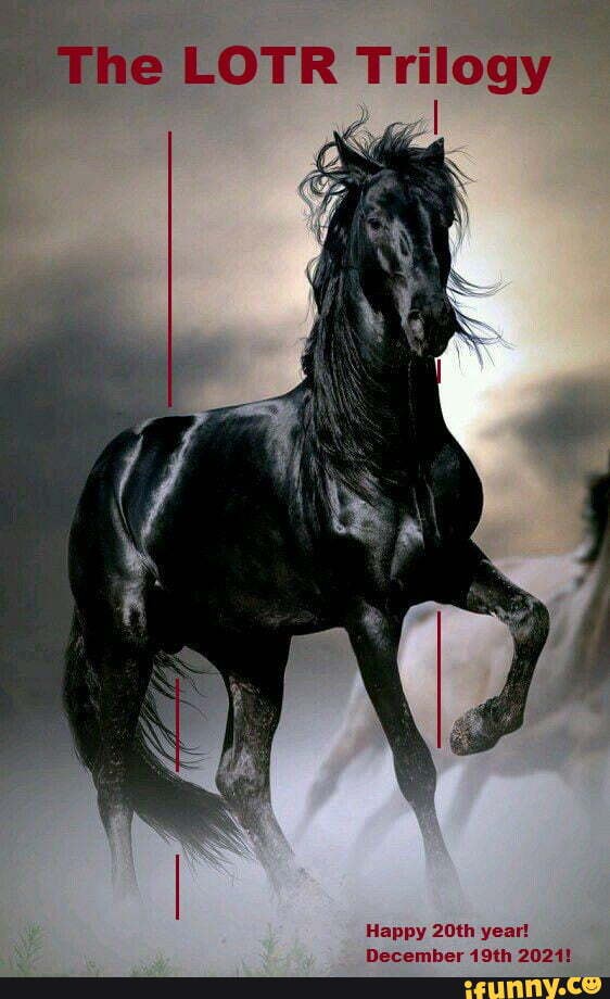 Friesian_horse memes. Best Collection of funny Friesian_horse pictures ...