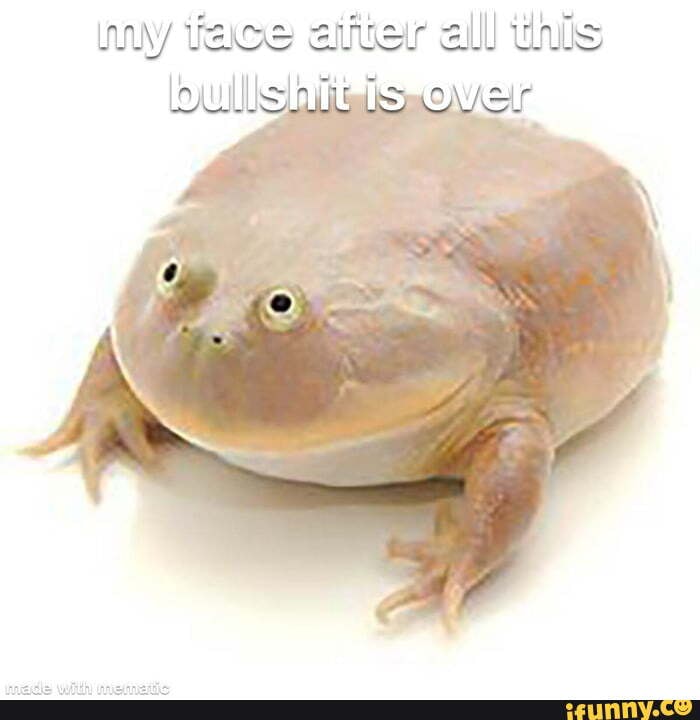 Cranwells_horned_frog memes. Best Collection of funny Cranwells_horned ...