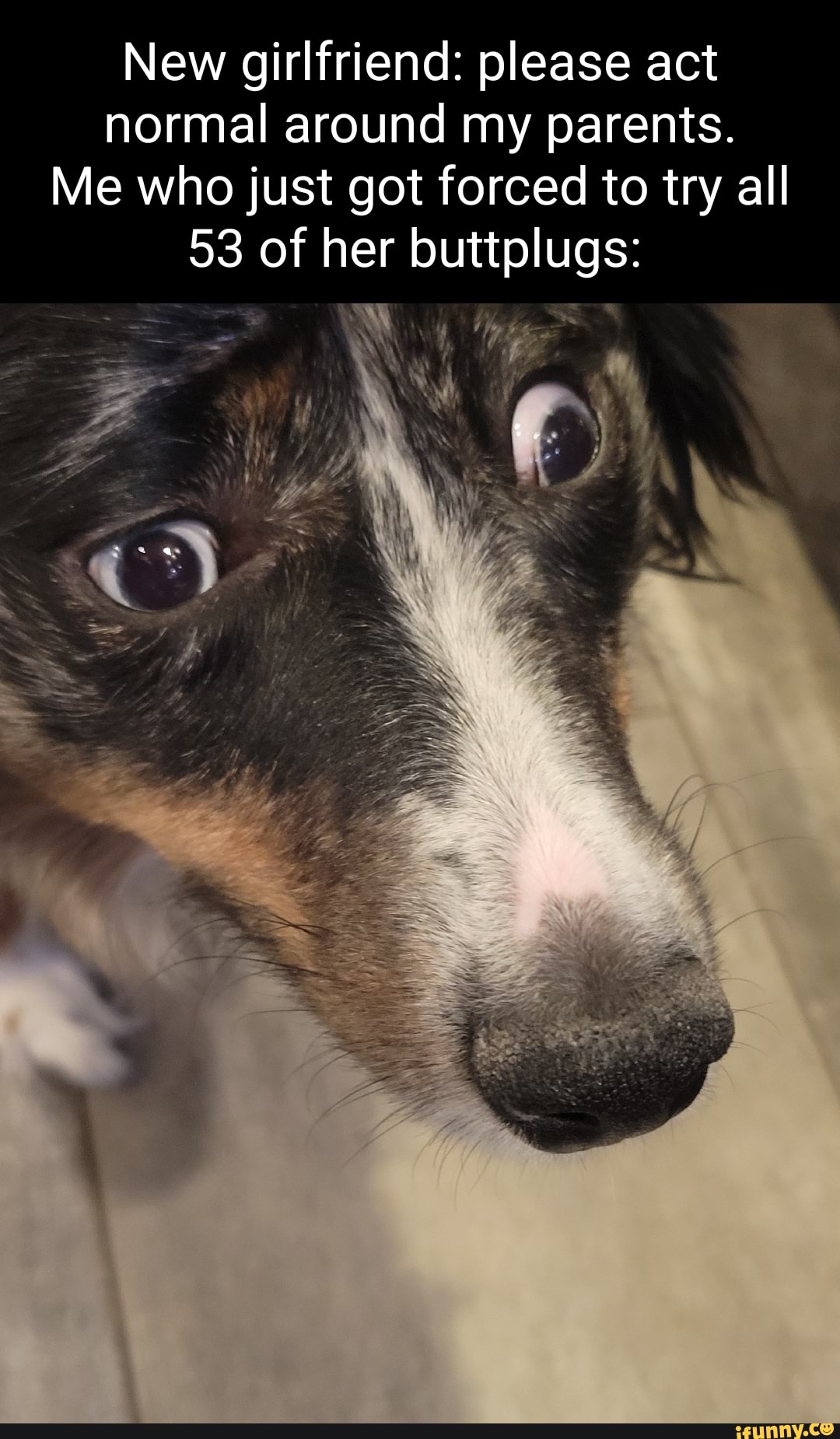 Butplug memes. Best Collection of funny Butplug pictures on iFunny