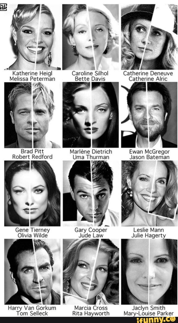 Katherine Heigl Caroline Silhol Catherine Deneuve Melissa Peterman ...