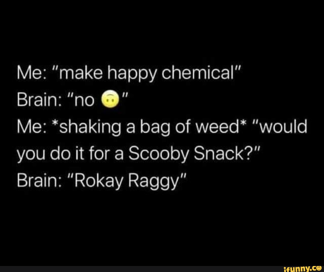 Raggy memes. Best Collection of funny Raggy pictures on iFunny