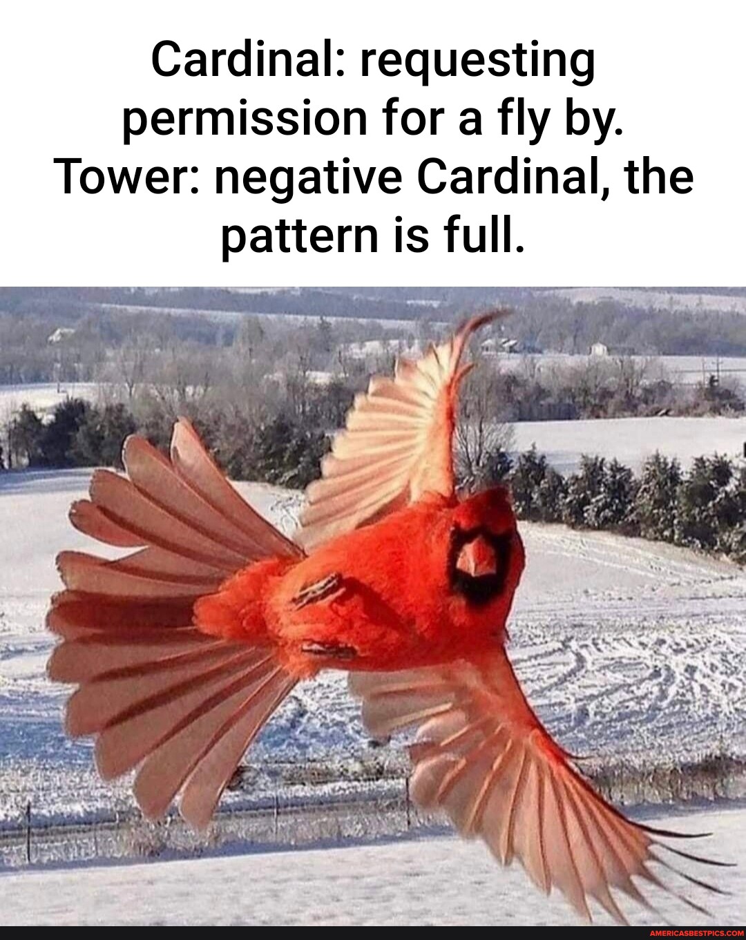 Cardinal: requesting permission for a fly by. Tower: negative Cardinal ...