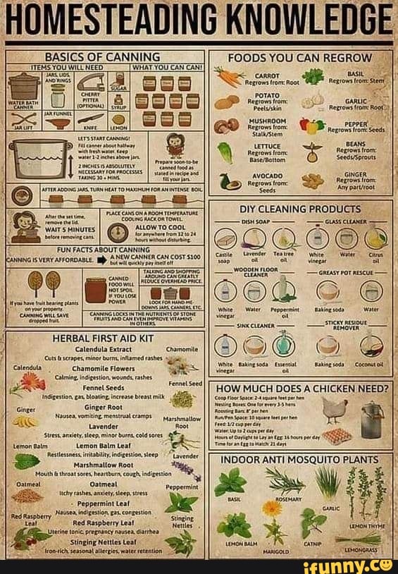 Canhing memes. Best Collection of funny Canhing pictures on iFunny