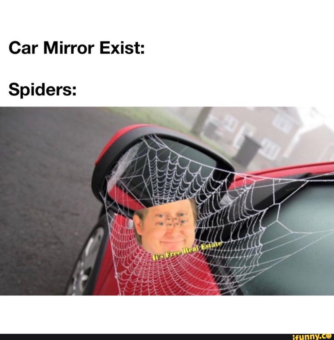 Car Mirror Exist: Spiders: - iFunny
