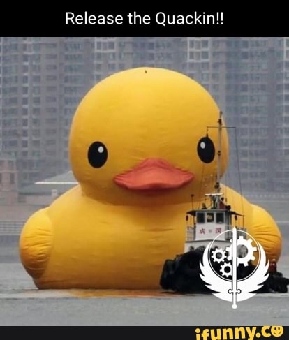 Release The Quacken