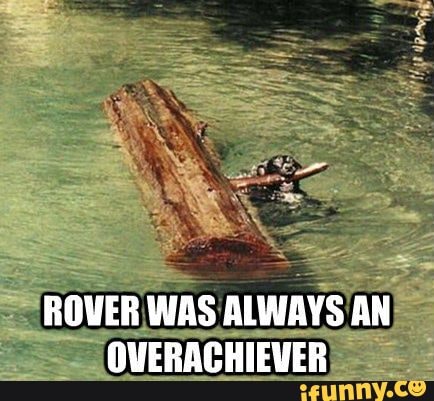 Overachiever memes. Best Collection of funny Overachiever pictures on ...