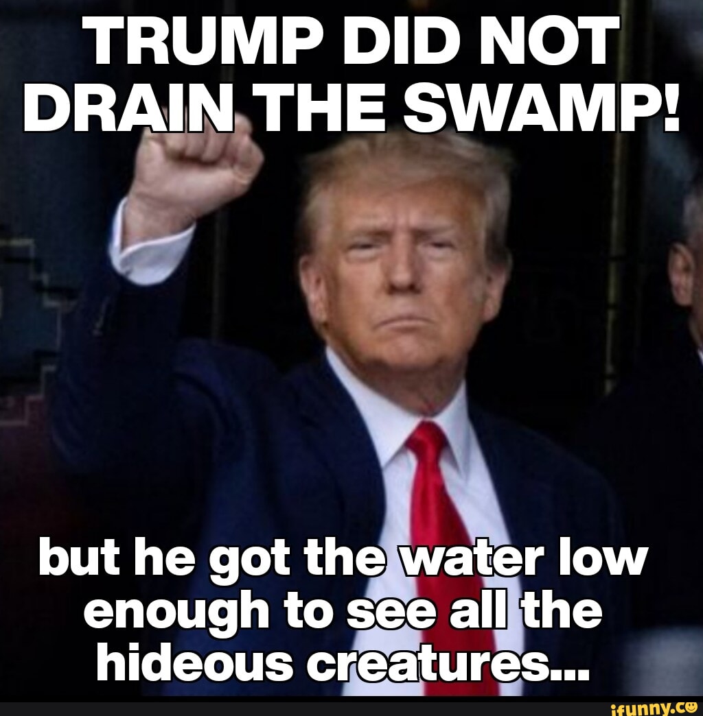 Swamp memes. Best Collection of funny Swamp pictures on iFunny