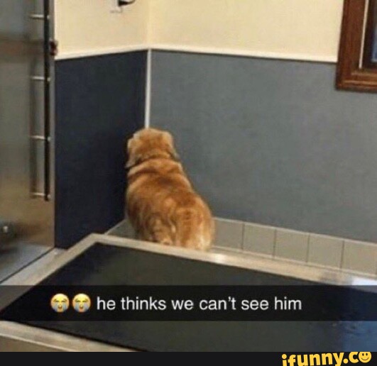 He thinks we can't see him - iFunny