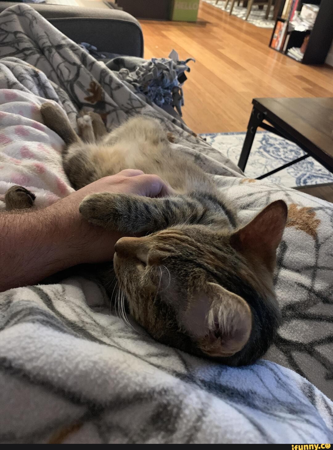 Funny Snuggle Memes