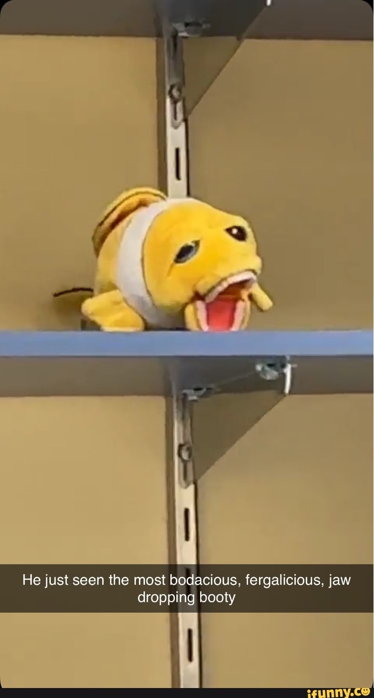 Bodacious memes. Best Collection of funny Bodacious pictures on iFunny