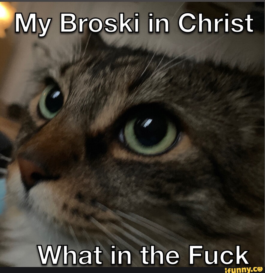 Broski memes. Best Collection of funny Broski pictures on iFunny