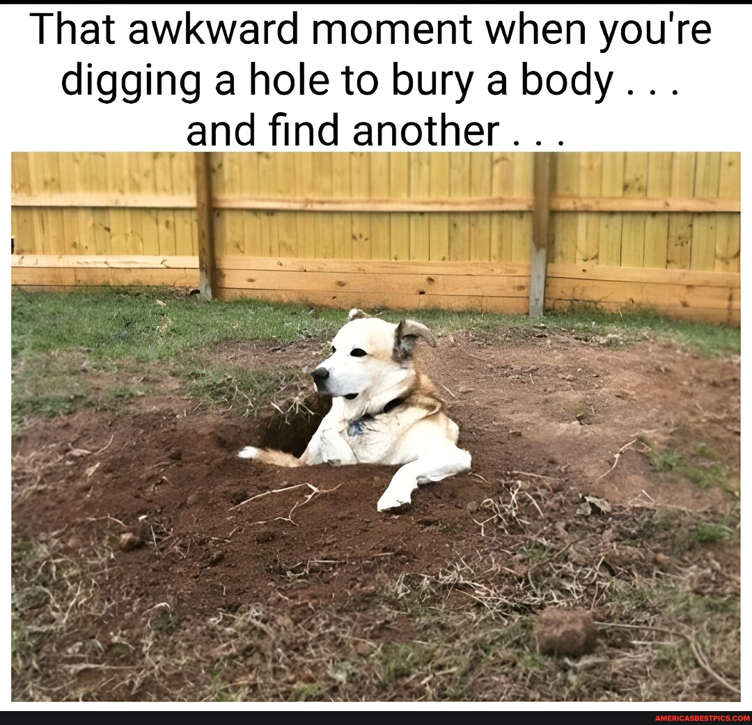 That awkward moment when you're digging a hole to bury a body... and ...