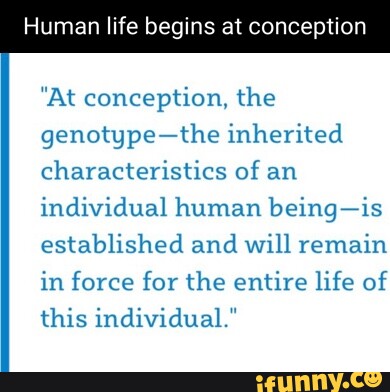 Genotype memes. Best Collection of funny Genotype pictures on iFunny