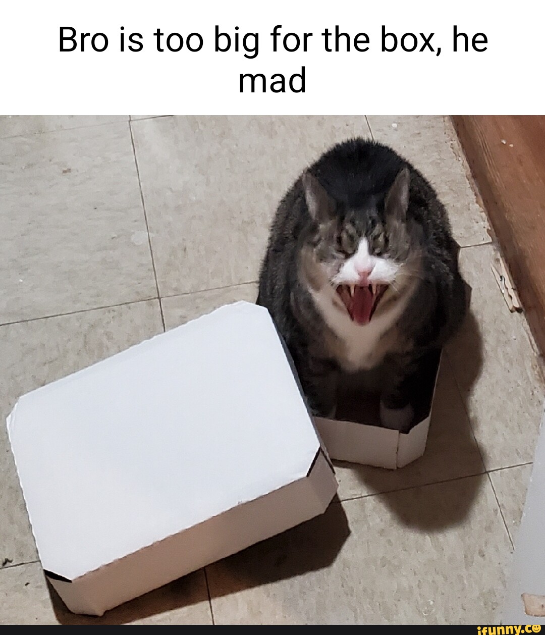 Bro is too big for the box, he mad - iFunny