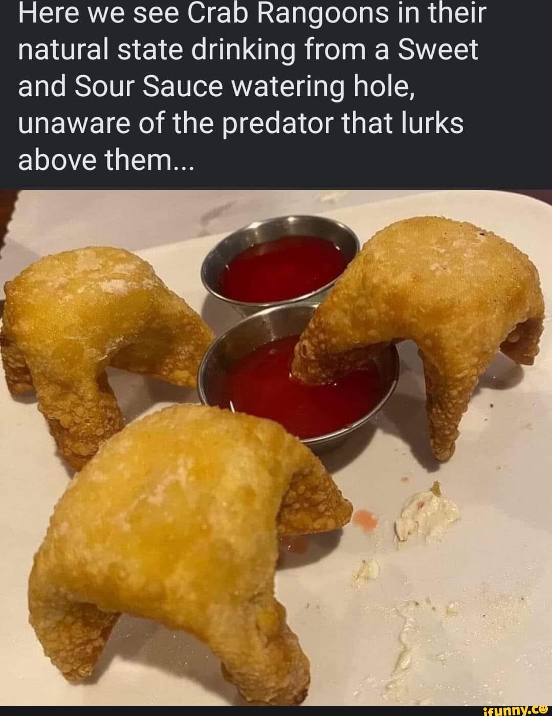 Rangoons memes. Best Collection of funny Rangoons pictures on iFunny