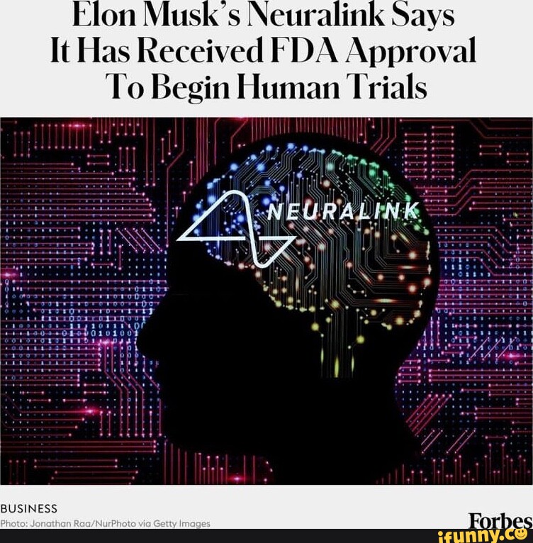 Neuralink memes. Best Collection of funny Neuralink pictures on iFunny