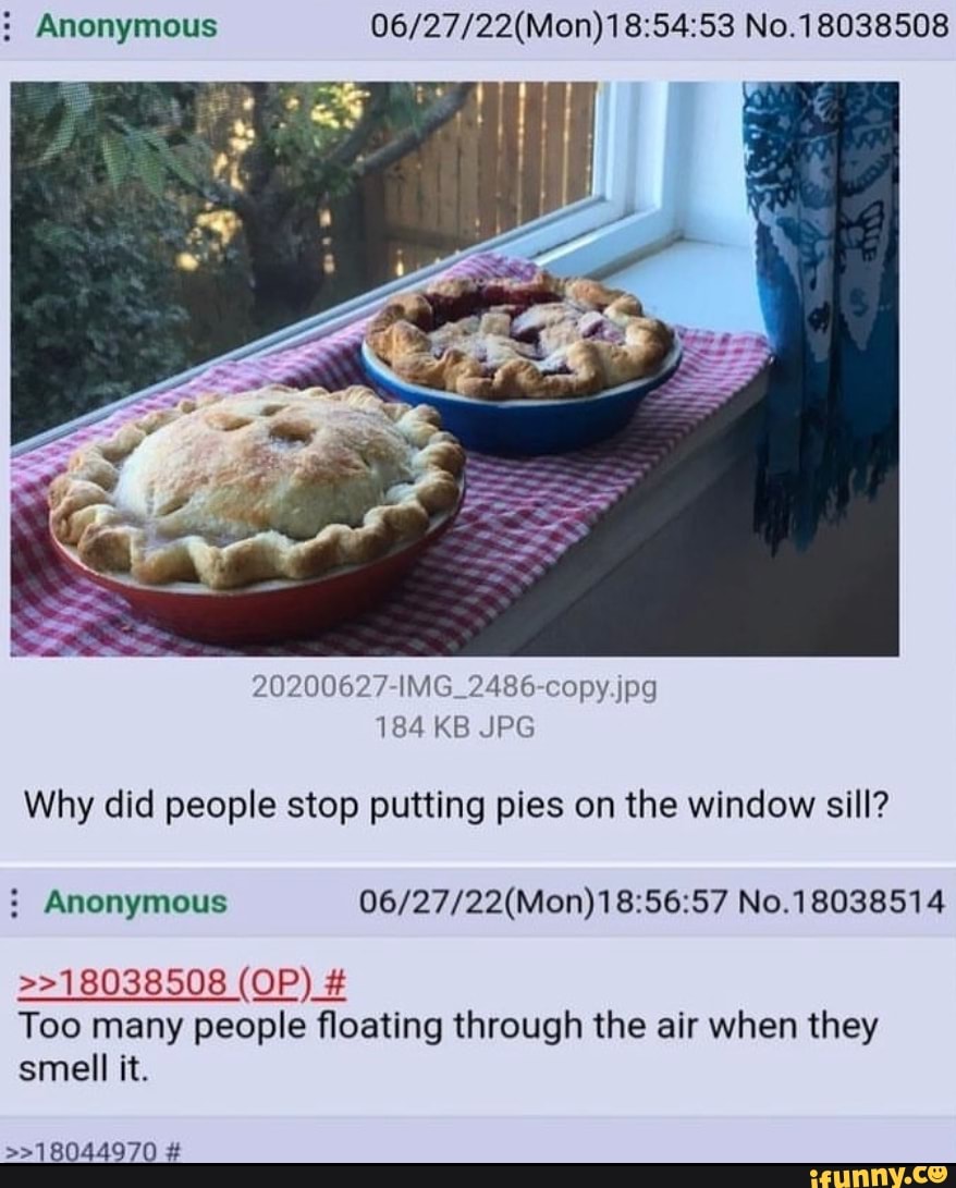 Anonymous No.18038508 20200627-IMG_2486-copy.jpg 184 KB JPG Why did ...