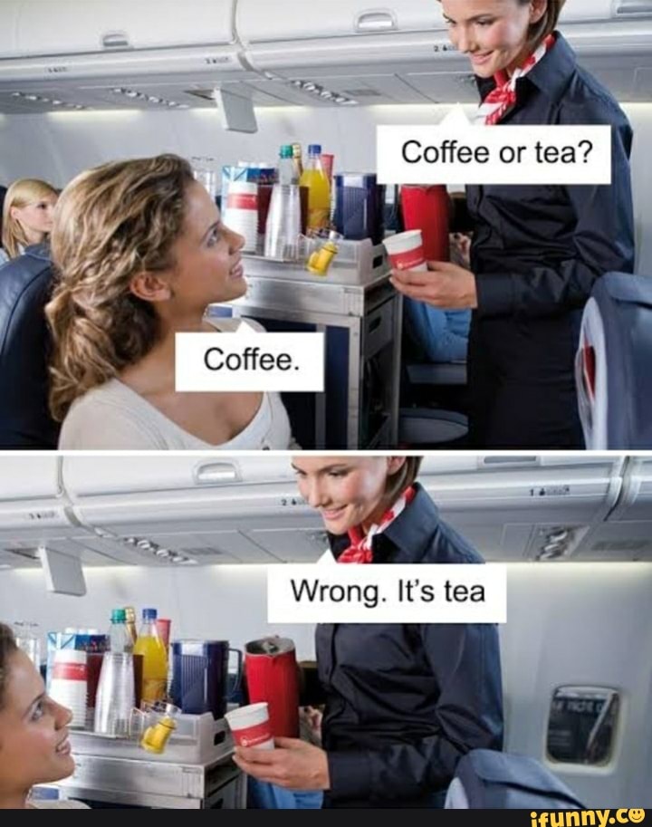 Steward memes. Best Collection of funny Steward pictures on iFunny