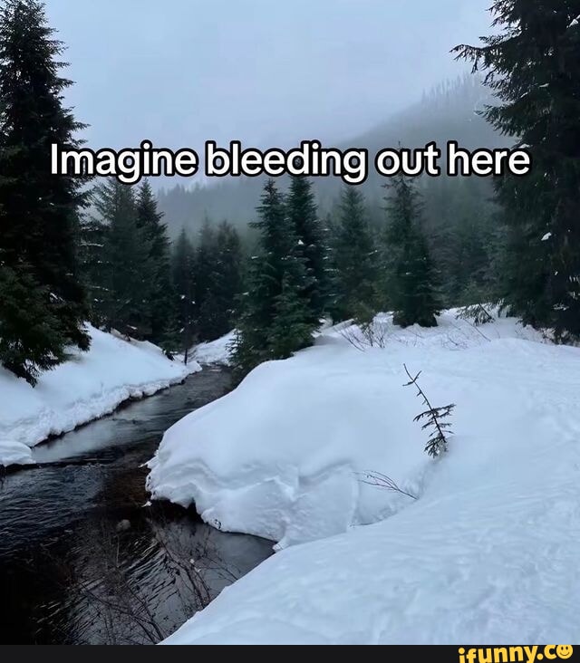 Imagine bleeding out here - iFunny