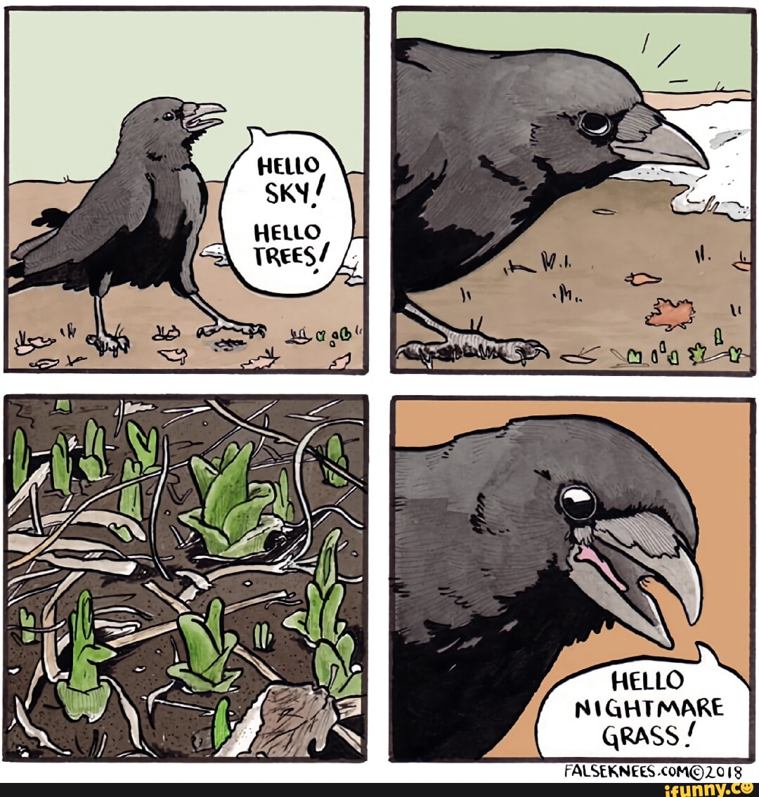 HELLO HELLO HELLO ON NIGHTMARE GRASS FALSEKNEES - iFunny