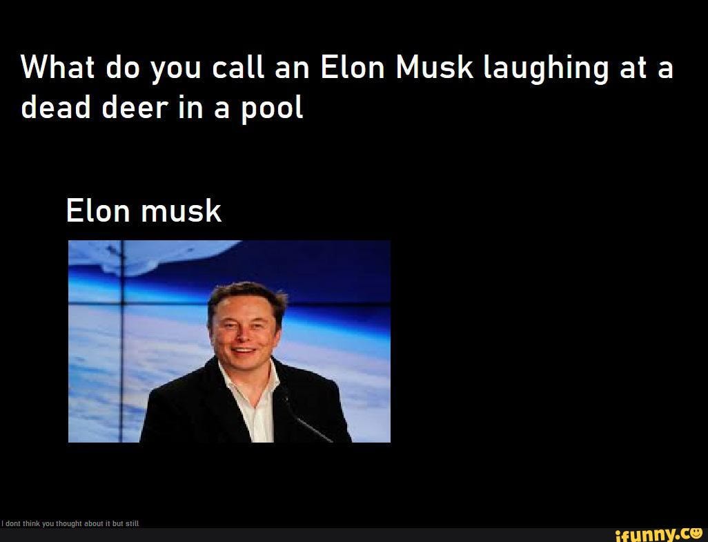 What do you call an Elon Musk laughing at a dead deer in a pool Elon ...