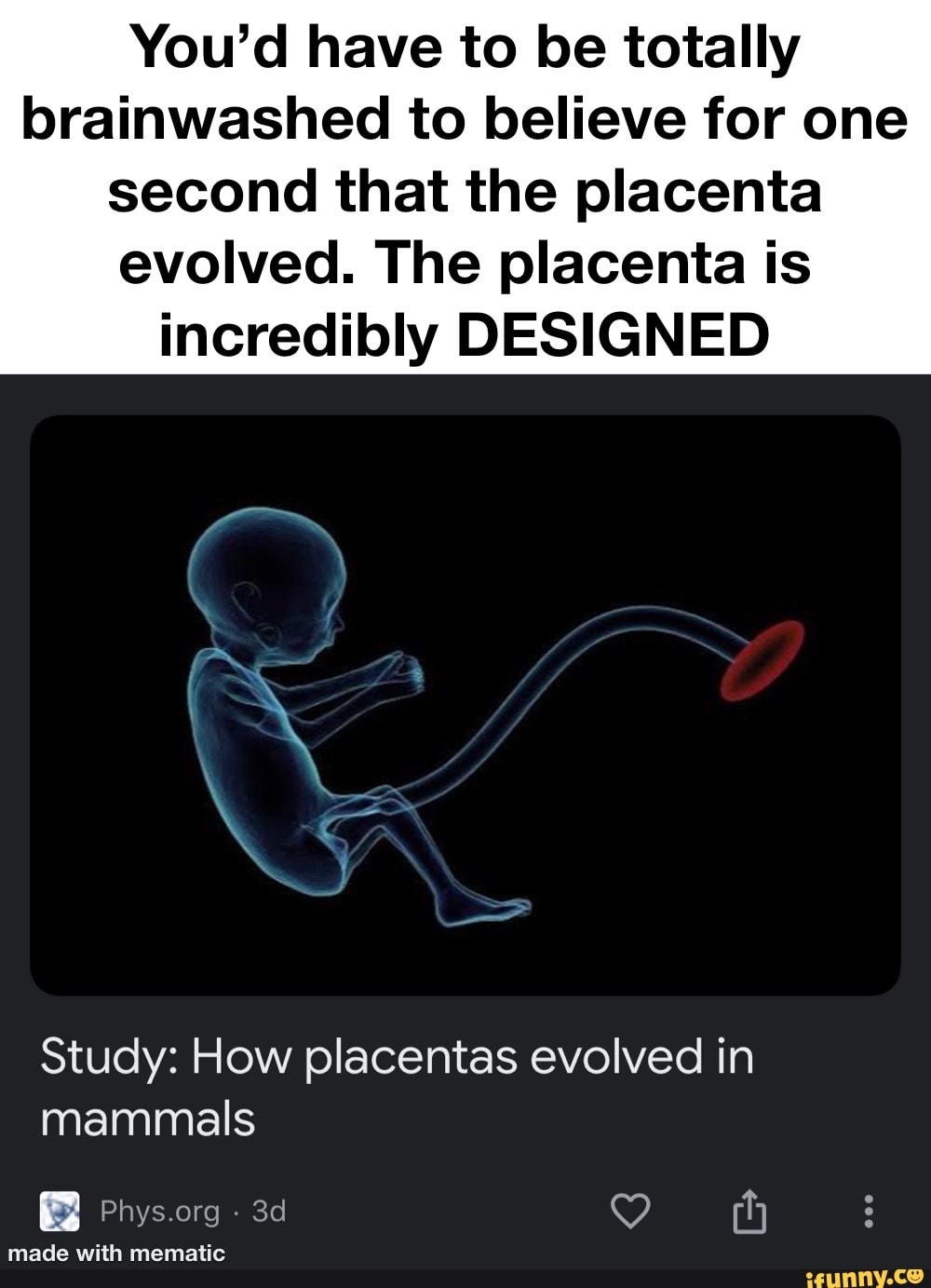 Placentas memes. Best Collection of funny Placentas pictures on iFunny