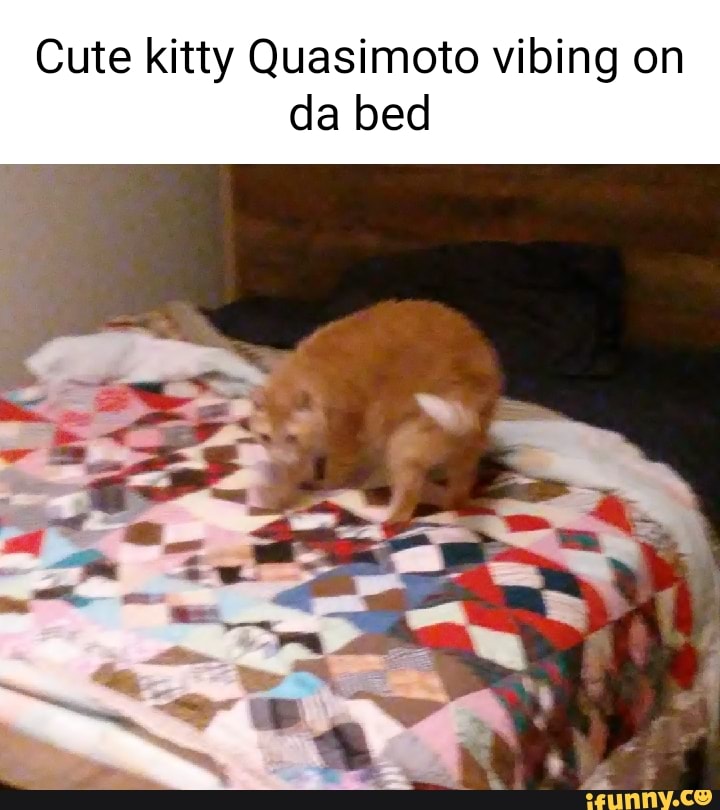 Quasimoto memes. Best Collection of funny Quasimoto pictures on iFunny
