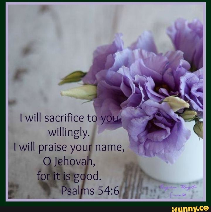 I will sacrifice to your willingly. will praise your name, O hovah, for ...