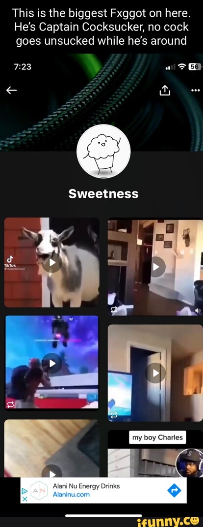 Alani memes. Best Collection of funny Alani pictures on iFunny