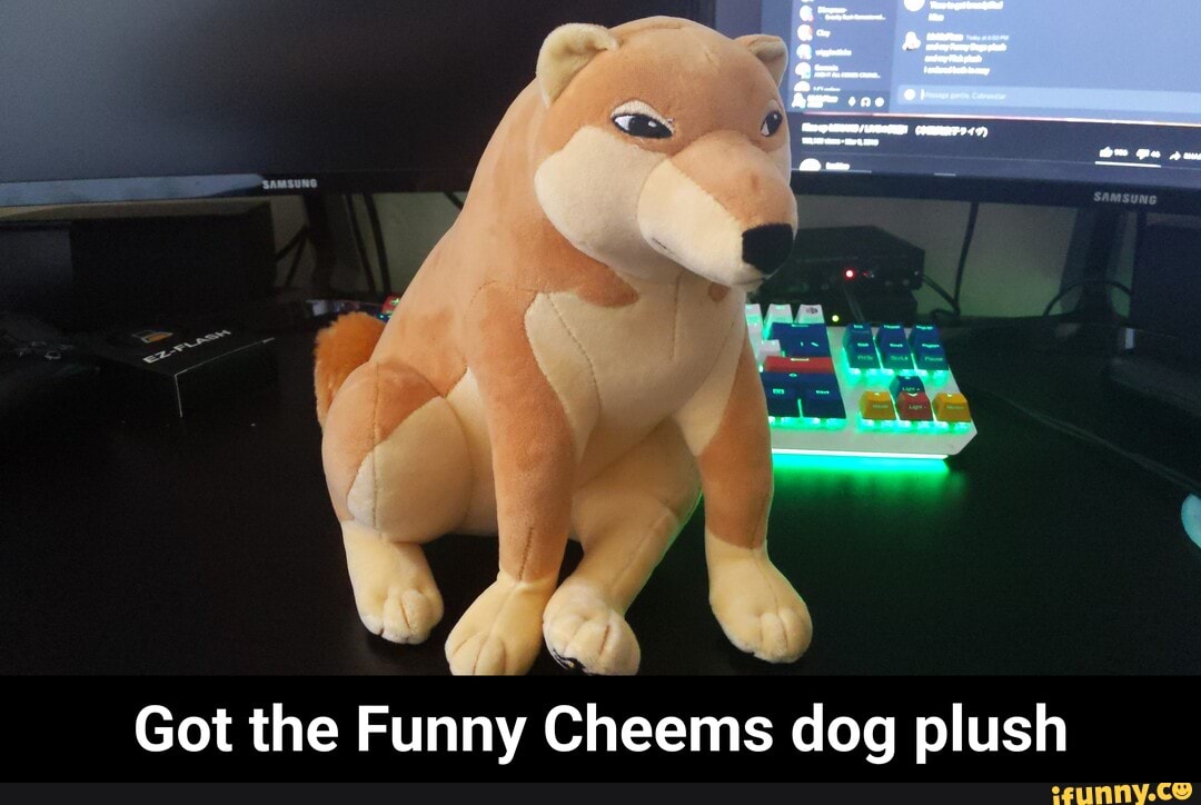 - omen Got the Funny Cheems dog plush - Got the Funny Cheems dog plush ...
