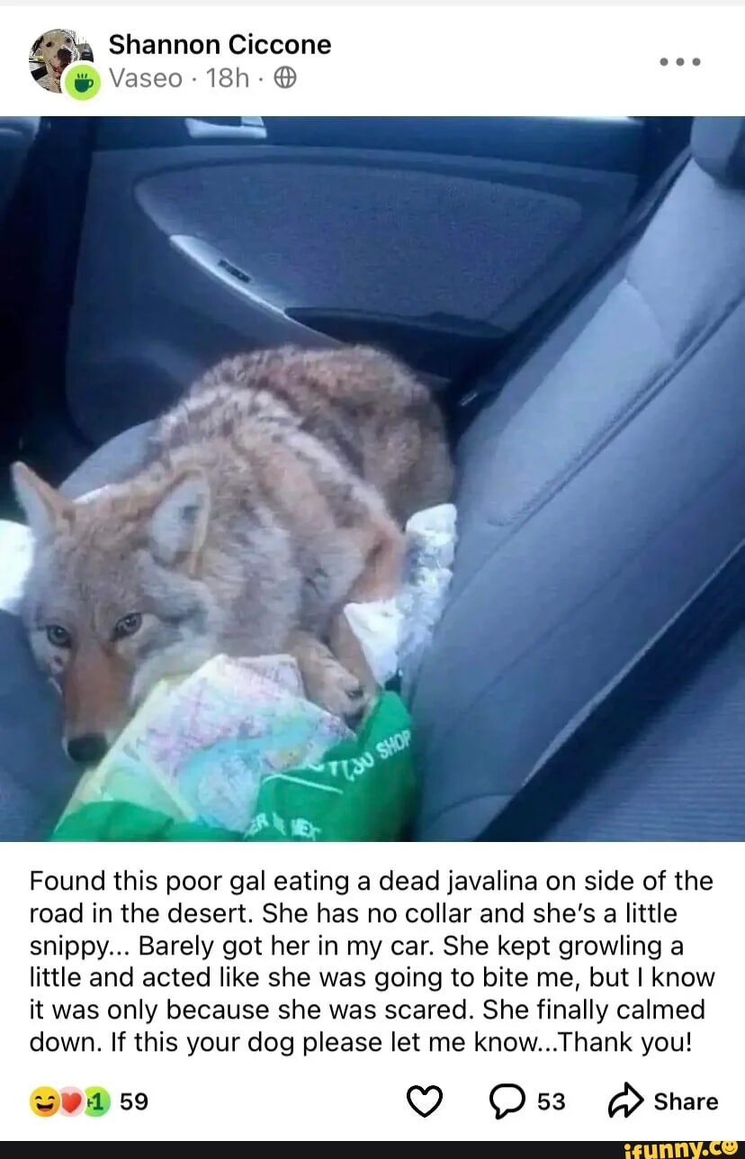 Snippy memes. Best Collection of funny Snippy pictures on iFunny