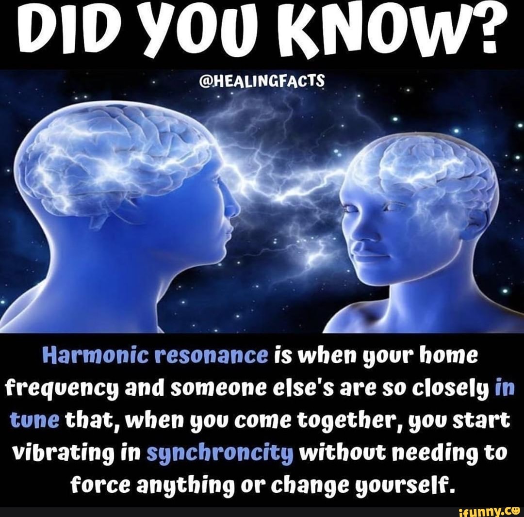 Synchroncity memes. Best Collection of funny Synchroncity pictures on ...